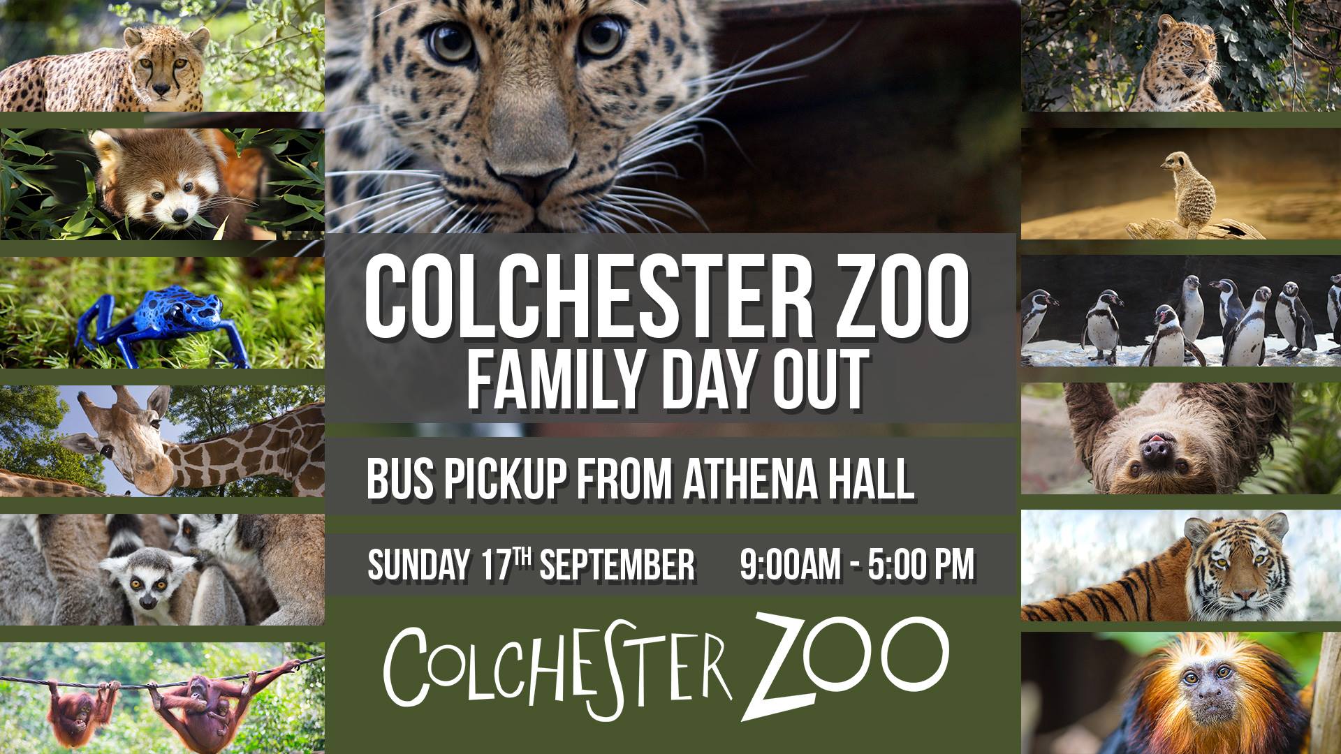 Colchester Zoo Trip - Family Day out at Colchester Zoo, Colchester on ...