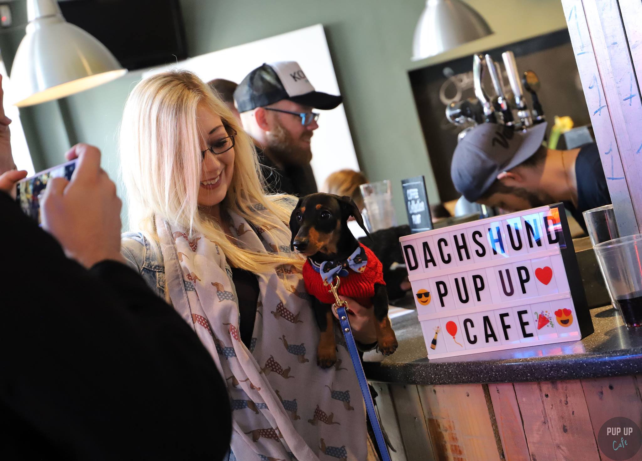 Dachshund Pop Up Cafe - Bournemouth at Revolution Bournemouth ...