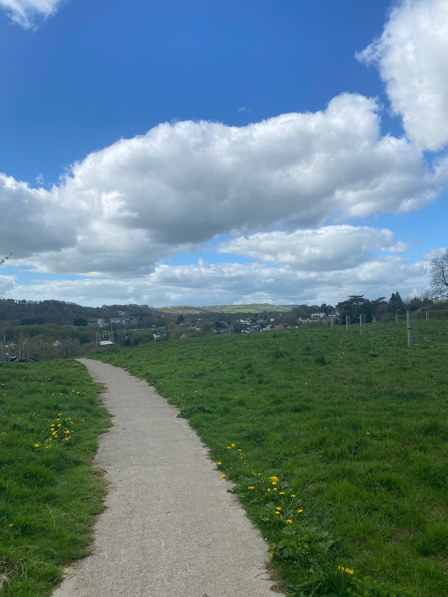 Sunday Steps FREE Women's Walk & Talk Event (Carmarthen Park S.Wales ...