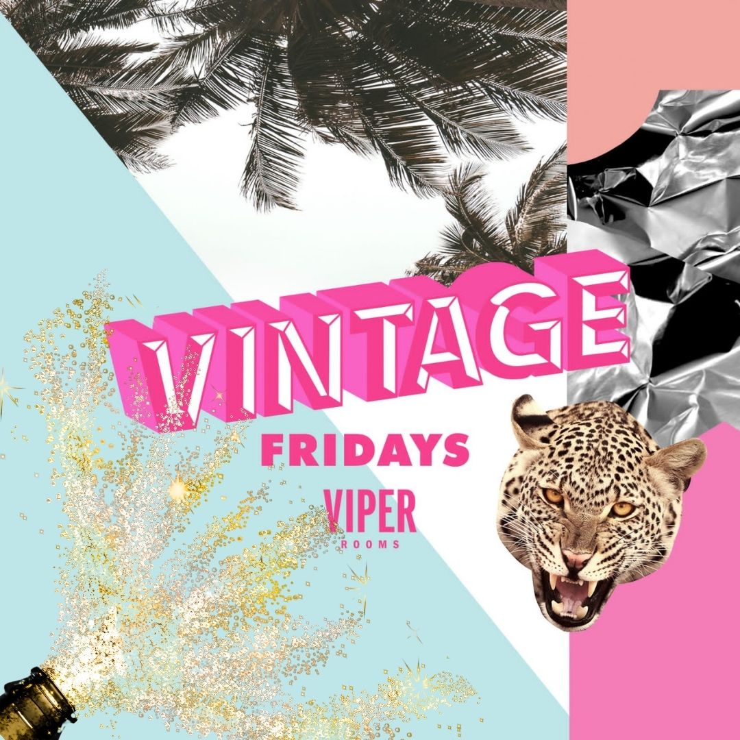 Fizz Friday: Vintage at The Viper Rooms, Sheffield on 21st Jan 2022 ...