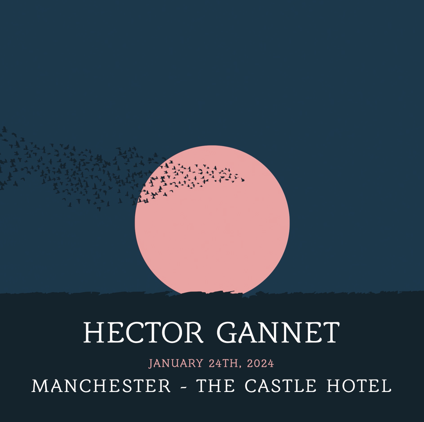 Hector Gannet | Manchester at Castle Hotel, Manchester on 24th Jan ...