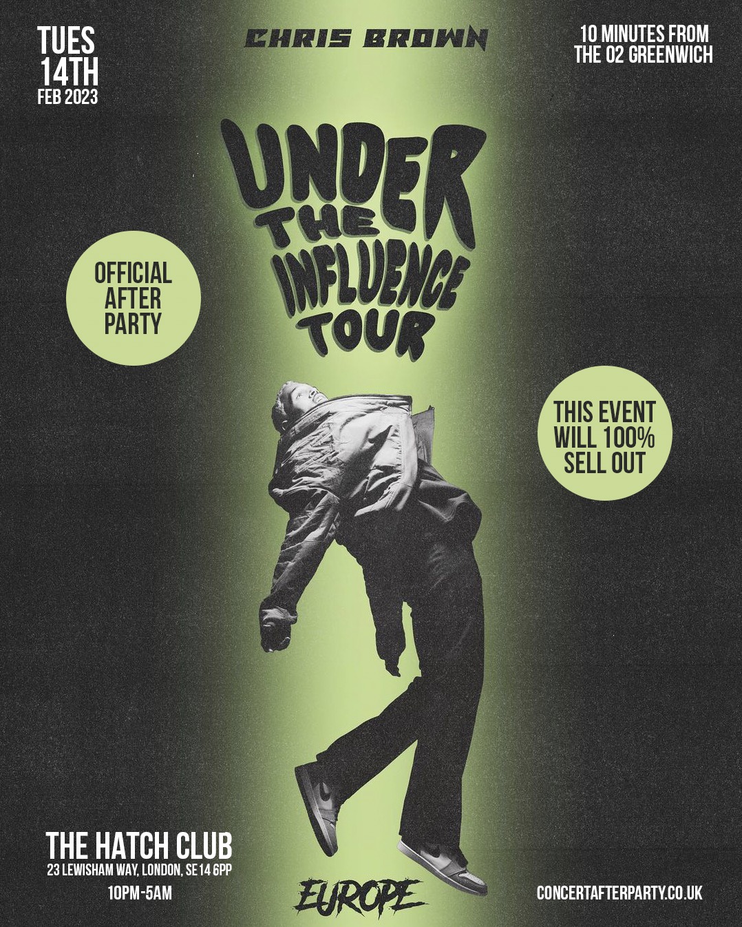 Chris Brown Under The Influence Concert After Party at The Hatch Club ...
